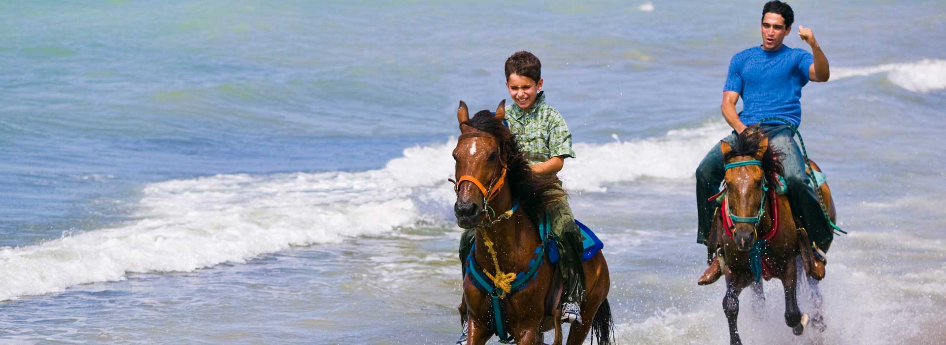 Lake Erie Beach and Wainfleet Wetlands Horseback Ride | ToNiagara