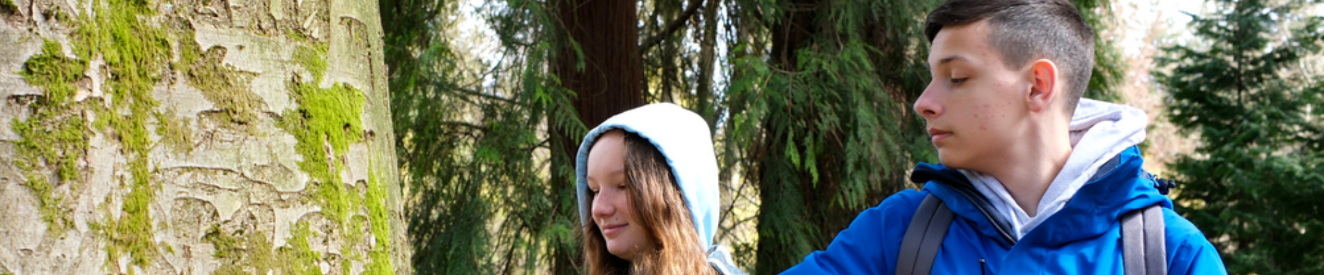 Stanley Park First Nations: Explore History | ToNiagara