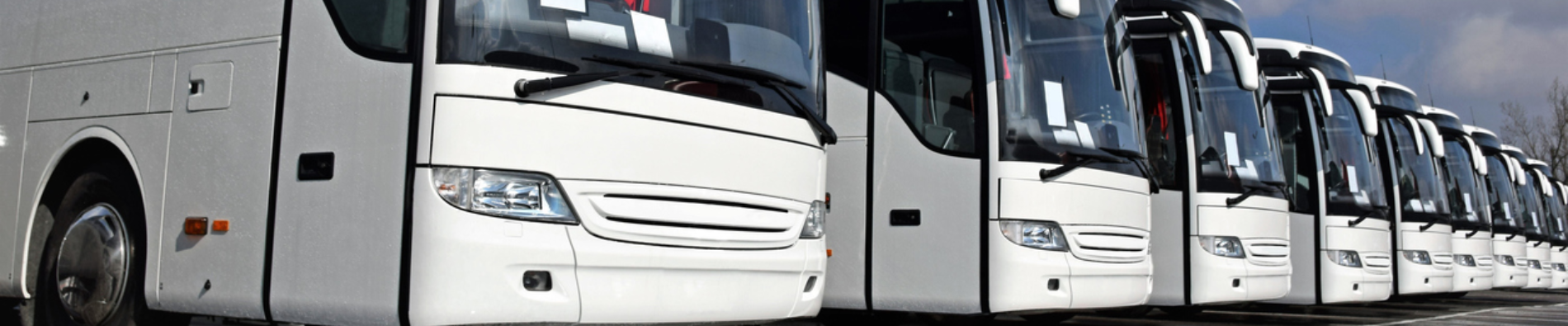 Vancouver To Victoria Coach Bus Transfer | ToNiagara